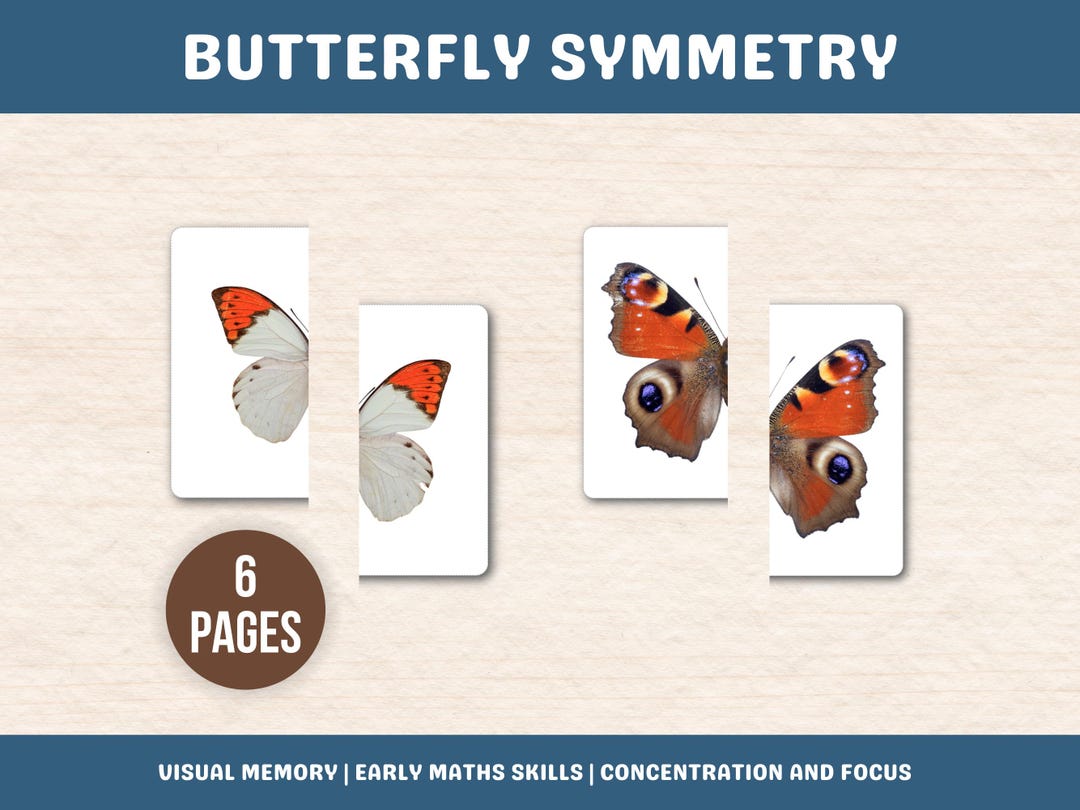 Butterfly Symmetry Matching Cards, Butterfly Wing Matching, Toddler ...