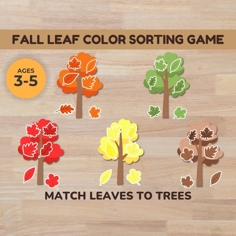 Color Sorting - Etsy