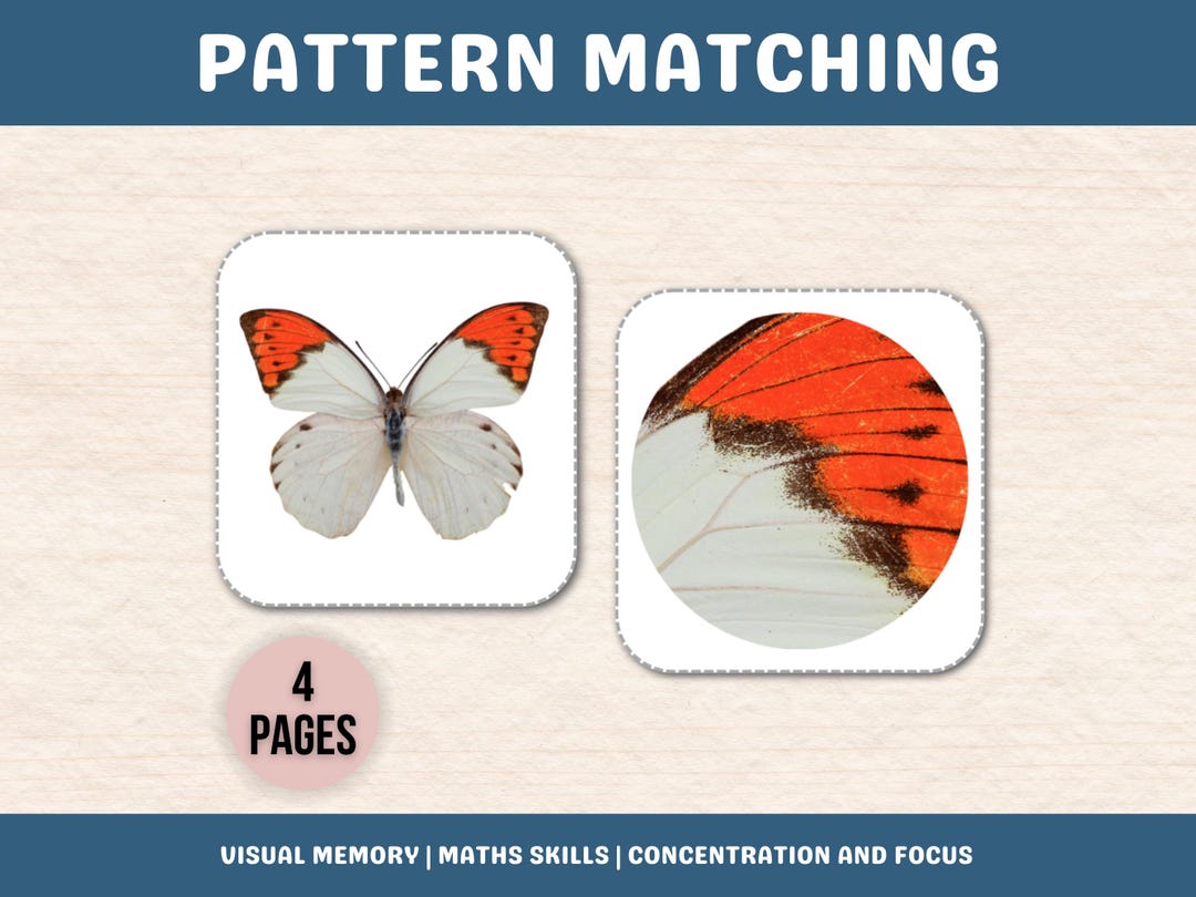 Colorful Butterfly Wing Pattern Matching Game - Educational Activity ...