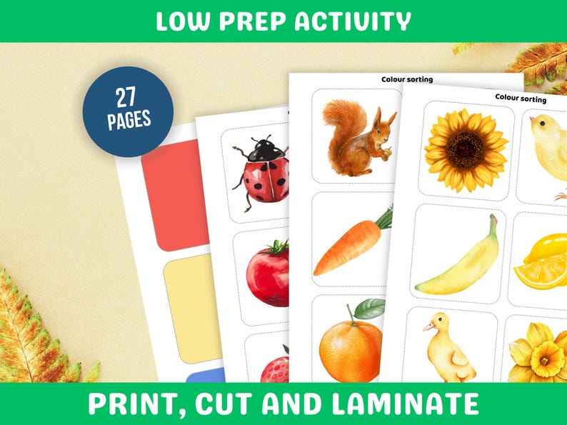 Color Sorting Printable • Montessori Busy Binder for Preschool • Early ...