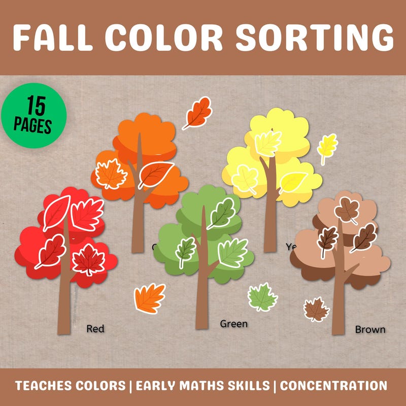 Color Sorting - Etsy