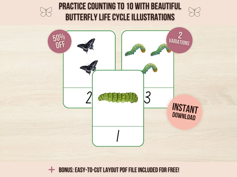 Count and Sort Cards, Counting Cards, Visual Discrimination, Counting ...