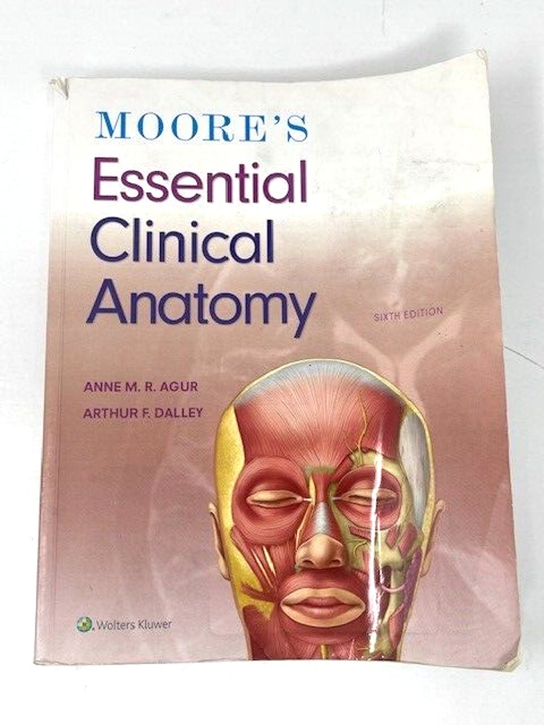 Moore's Essential Clinical Anatomy by Agur and Dalley 6th Ed - Etsy