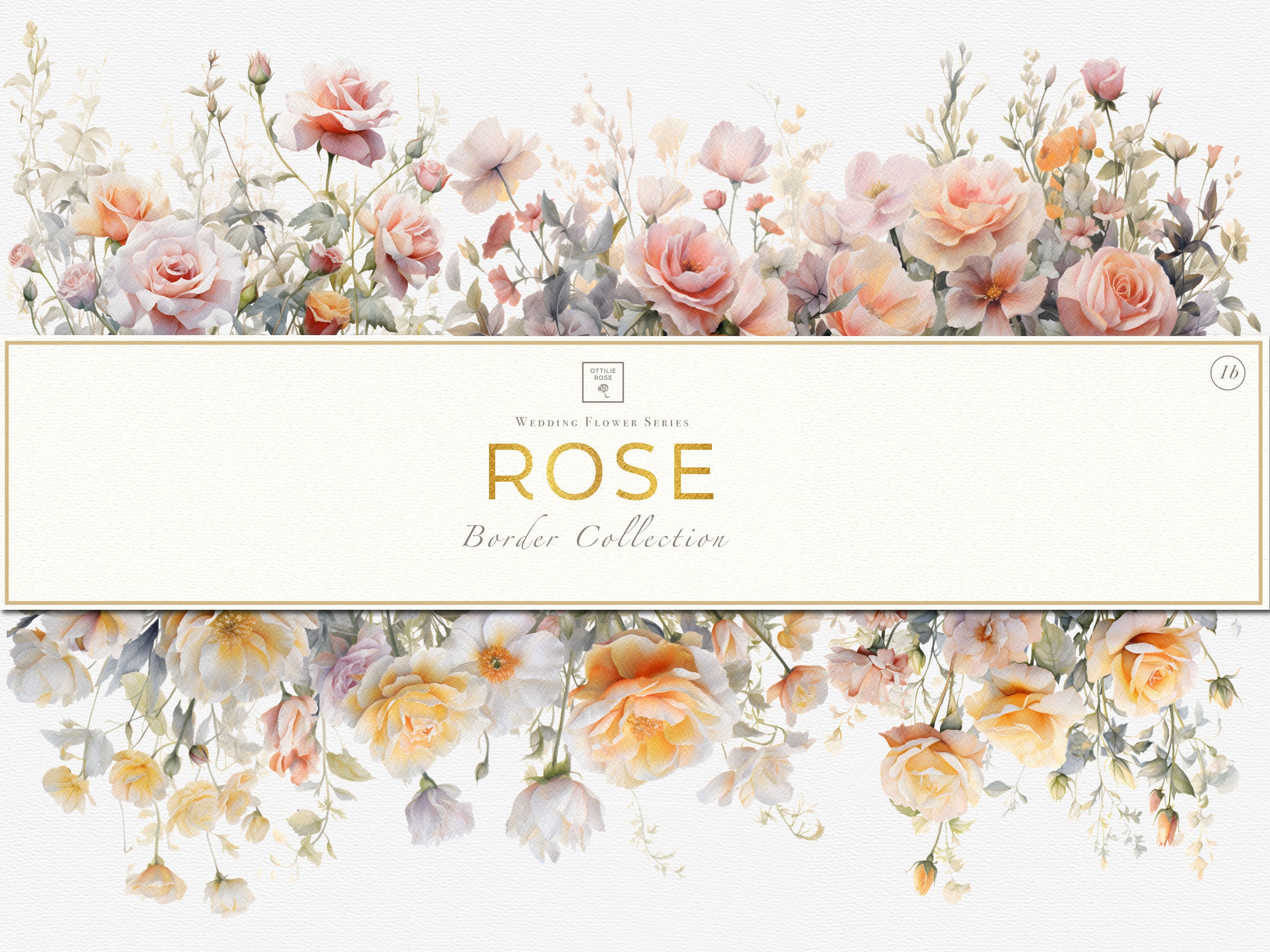 10 Floral Border Clipart, Bouquet Border Art, Digital Flower Borders ...