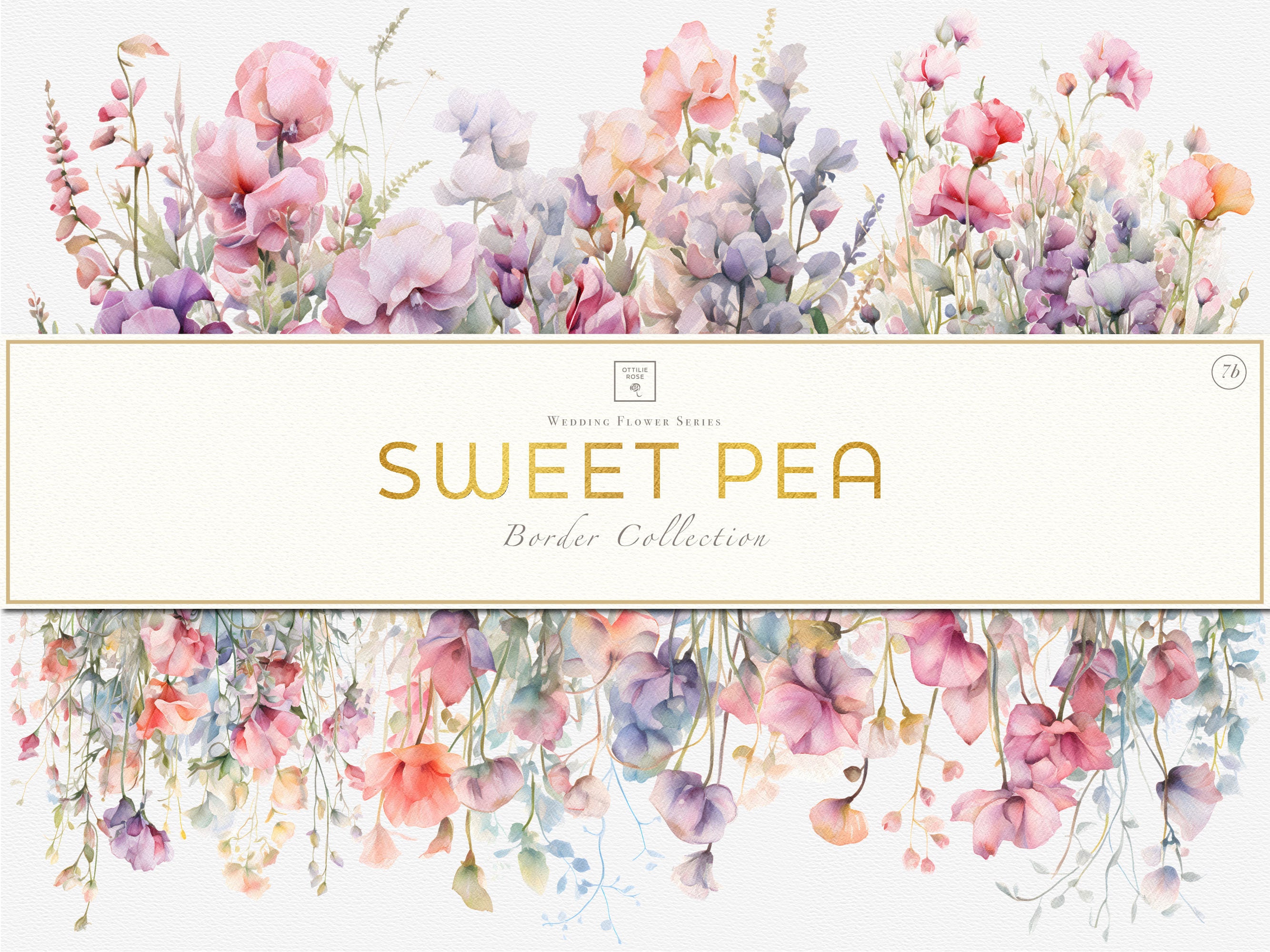 Floral Border Clipart, Bouquet Border Art, Digital Flower Borders ...