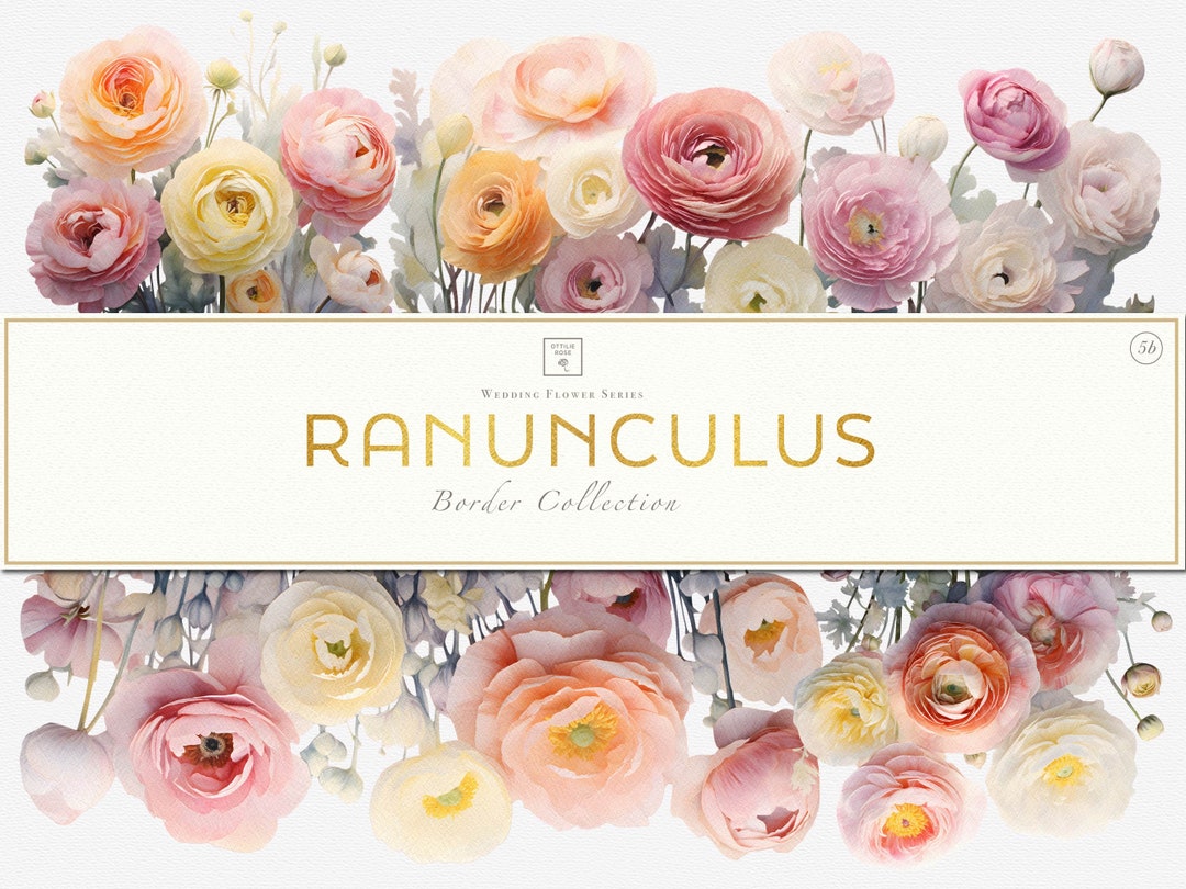 Floral Border Clipart, Bouquet Border Art, Digital Flower Borders ...