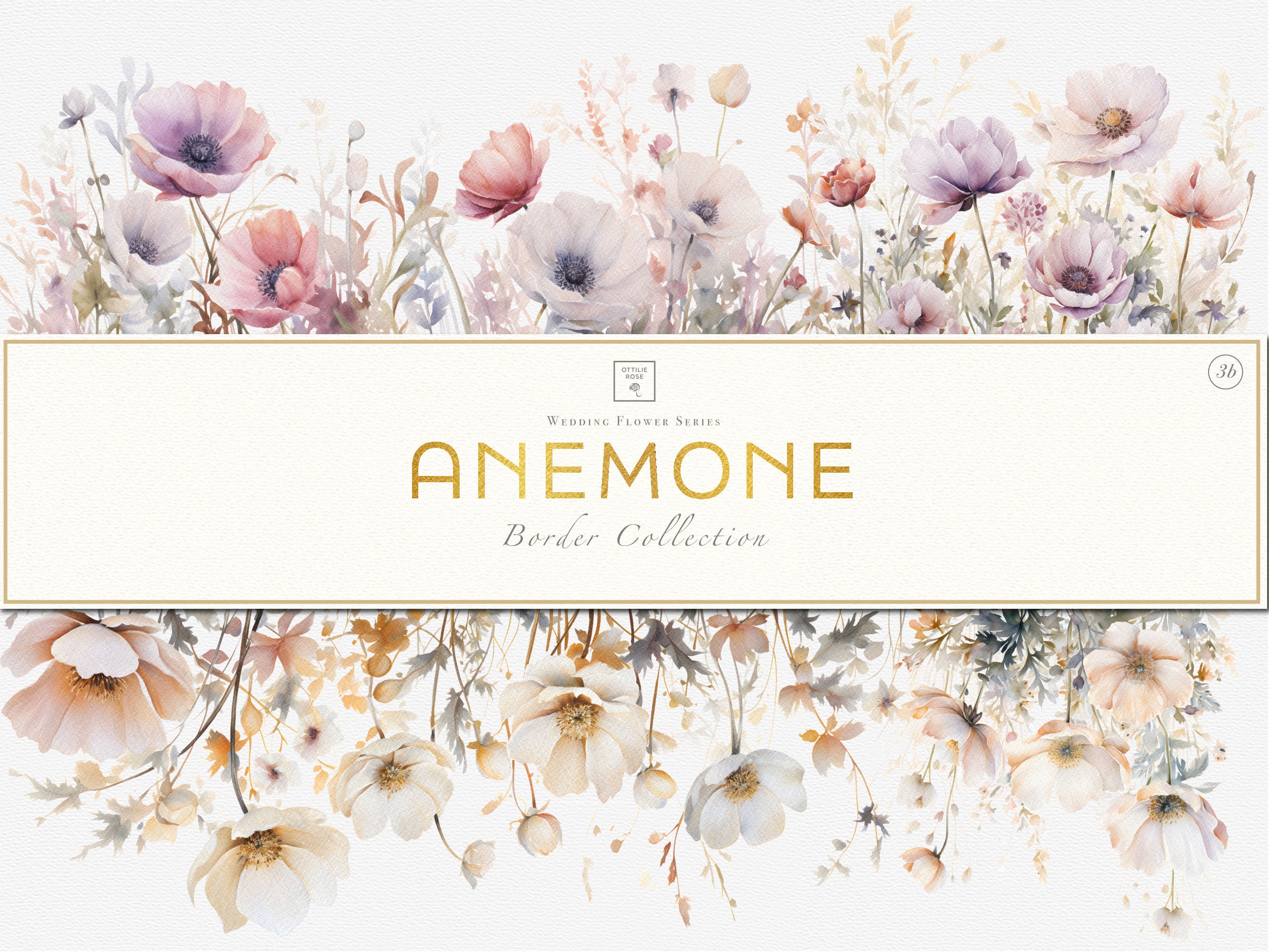 10 Floral Border Designs Anemone Clipart Wedding Card Design Flower ...