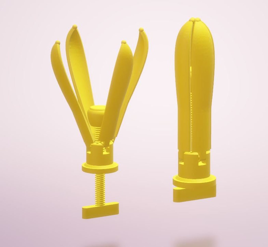 Pear of Anguish - 3D Model for Printing - Etsy