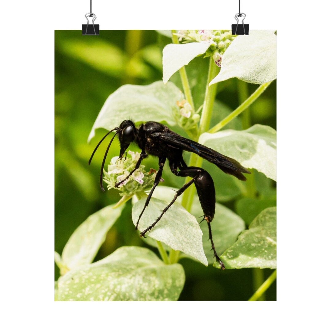 Kim K at the Met Gala Nature Inspired Wall Art - Etsy