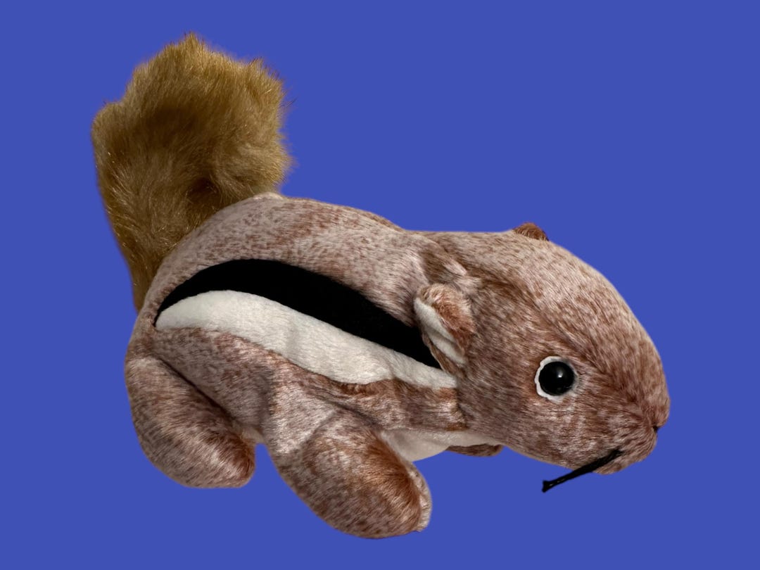 TY Beanie Babies - Chipper the Chipmunk (6''). Mint Condition. - Etsy