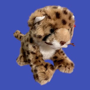 TY Beanie Babies - Chitraka the Cheetah and Spotter the Leopard (6 ...