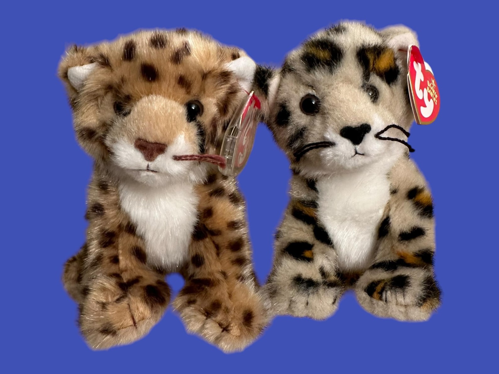 TY Beanie Babies - Chitraka the Cheetah and Spotter the Leopard (6 ...