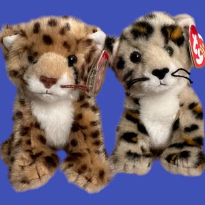 TY Beanie Babies - Chitraka the Cheetah and Spotter the Leopard (6 ...