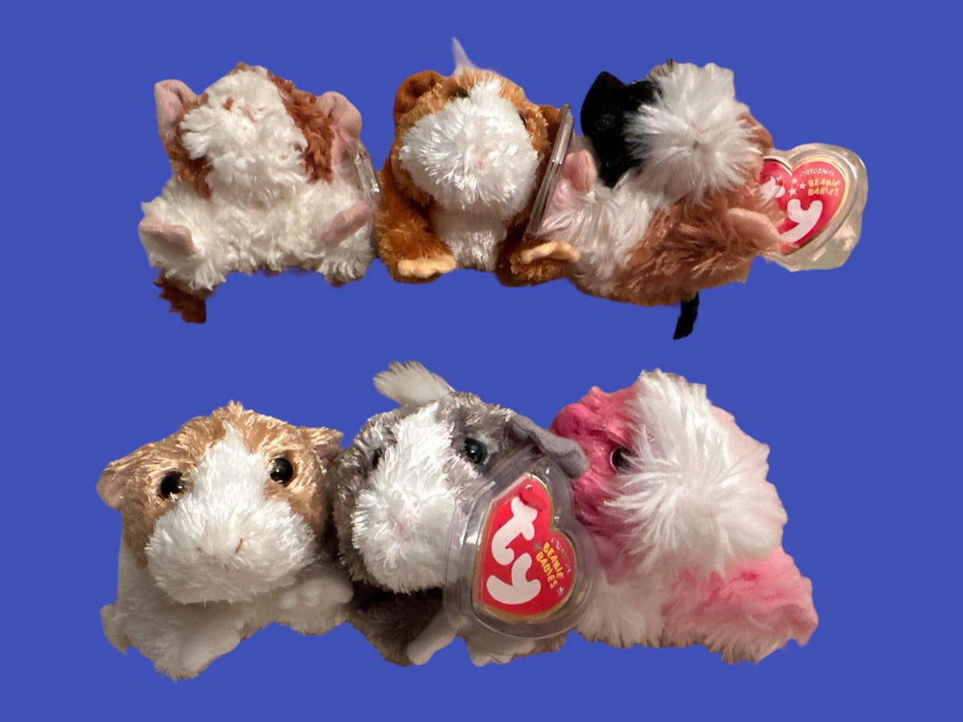 TY Beanie Babies - Reese, Fearless, Patches, Twitch, Flash and Pinky ...