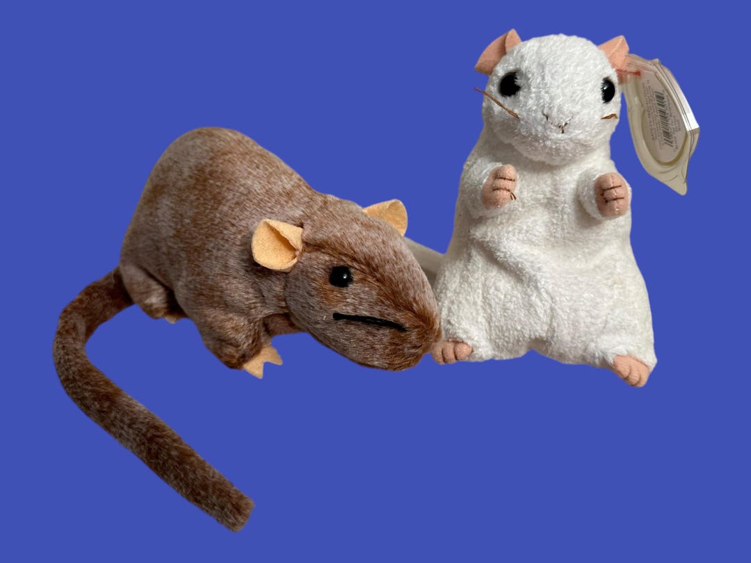 TY Beanie Babies - Tiptoe and Cheezer the Rats (5-6'). Mint Condition ...