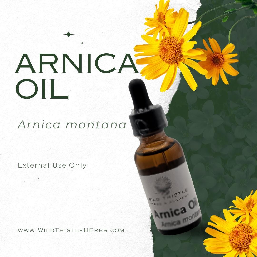 Arnica Infused Oil (arnica Montana) - Etsy