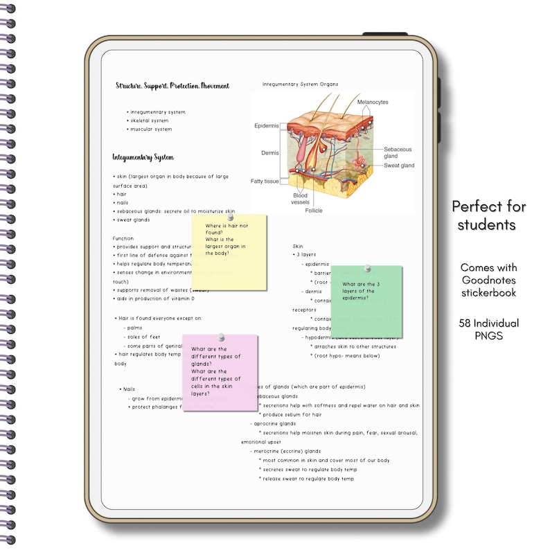 Digital Sticky Notes for Goodnotes Elements and iPad Planners - Etsy