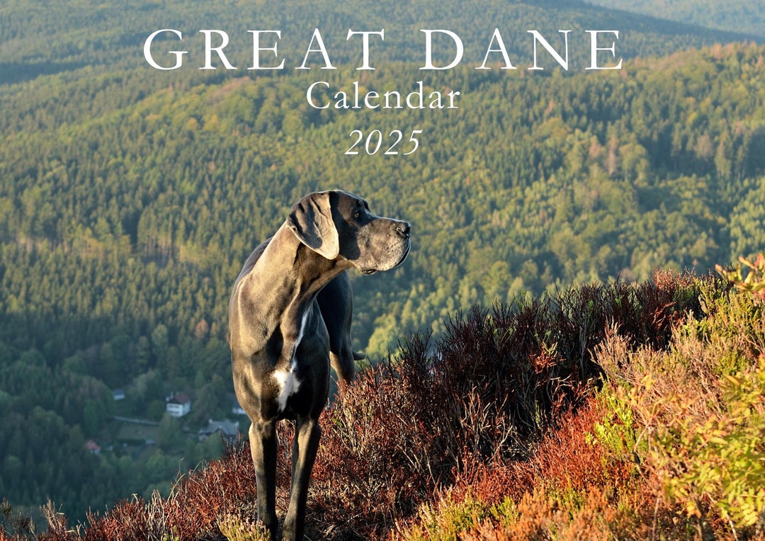 Great Dane Wall Calendar - Etsy
