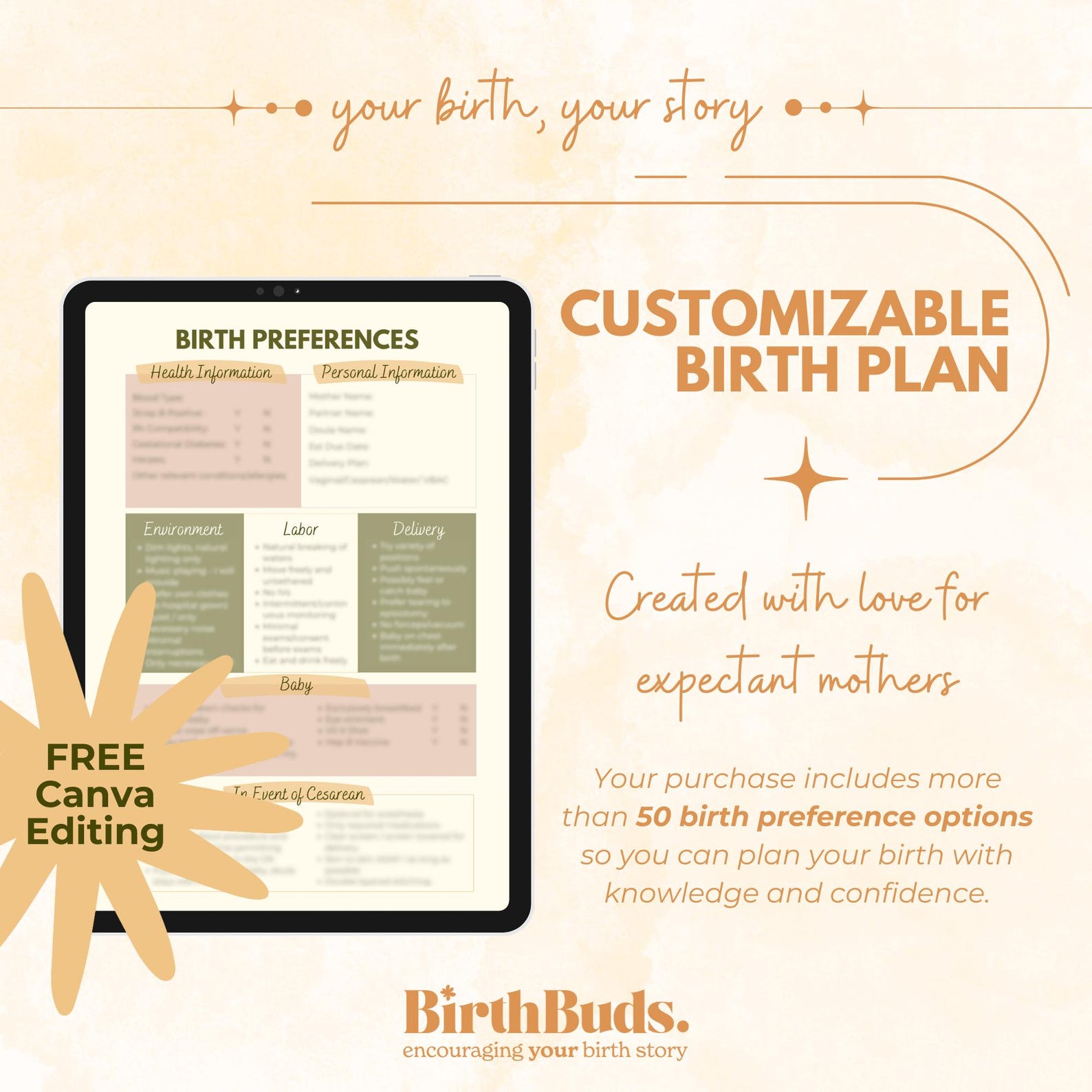 Editable Birth Plan Template | Printable Birthing Plan | Labor and ...