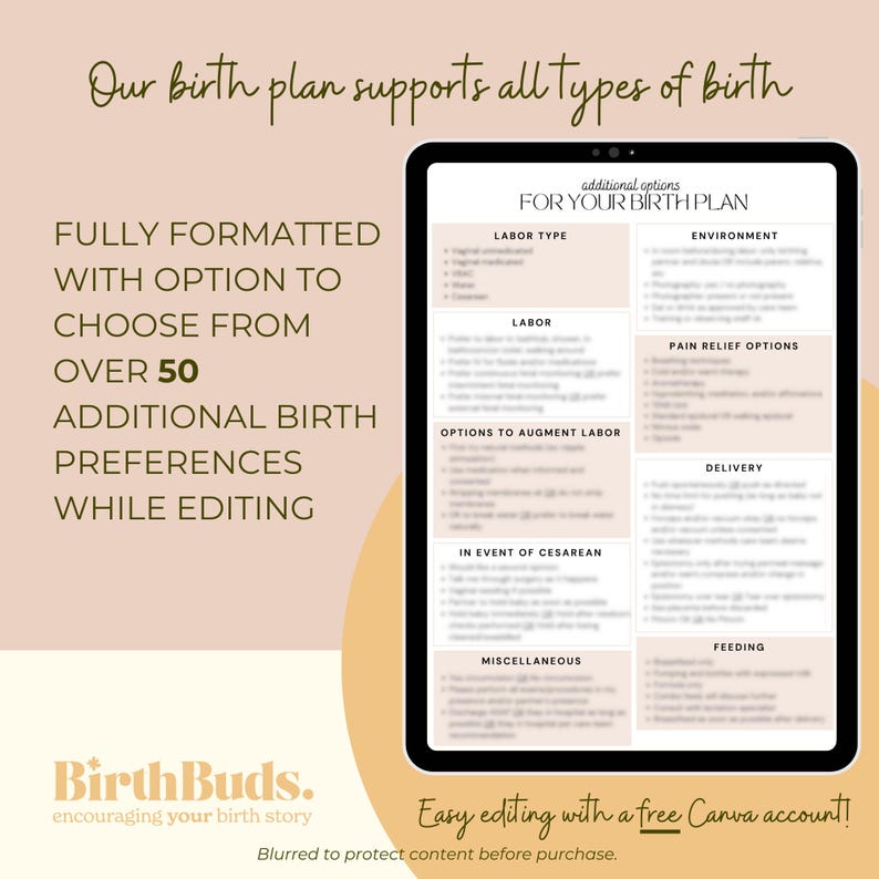 Doula Editable Birth Plan Template | Printable Birthing Plan | Labor ...