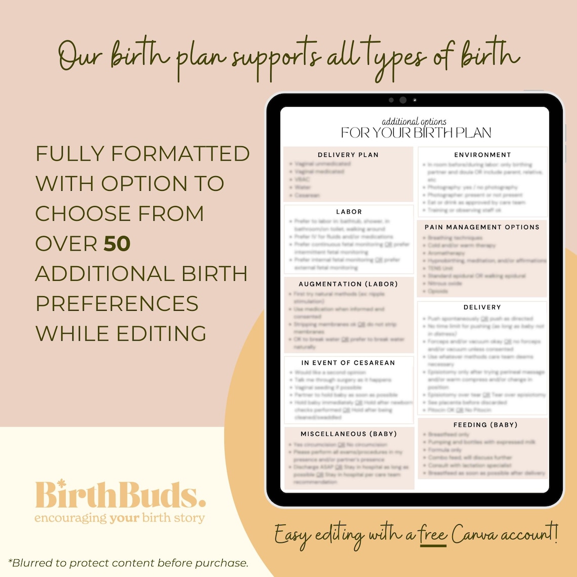 Editable Birth Plan Template | Printable Birthing Plan | Labor and ...