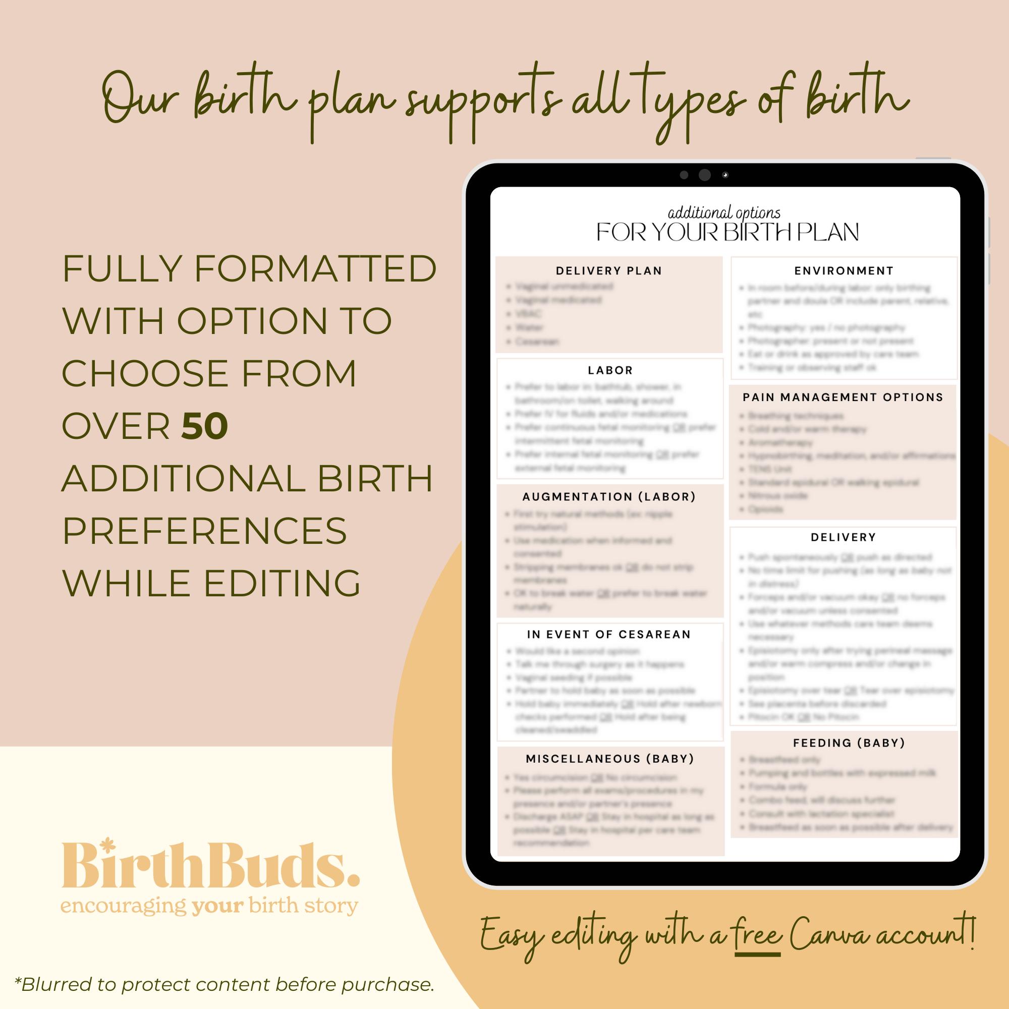 Editable Birth Plan Template | Printable Birthing Plan | Labor and ...
