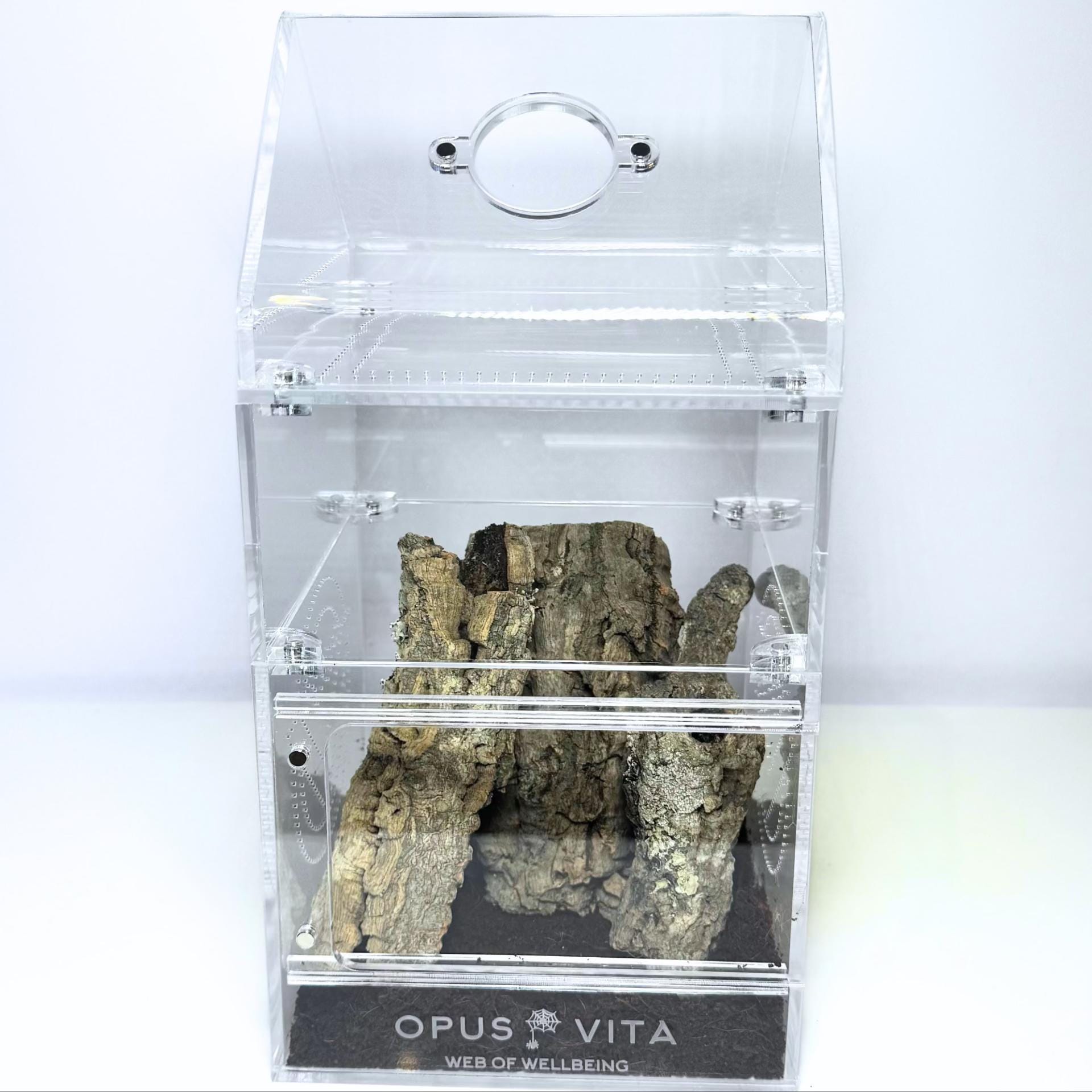 Domus - 4 in 1 Jumping Spider Enclosure - Etsy