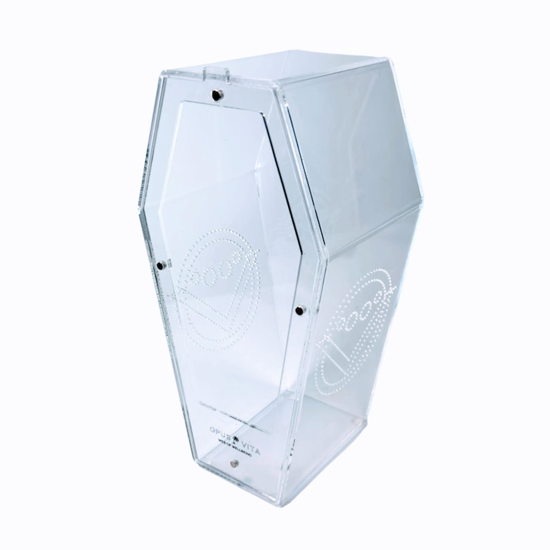 Loculus - Coffin Enclosure - Large - Spider Habitat - NEW ARRIVAL! - Etsy