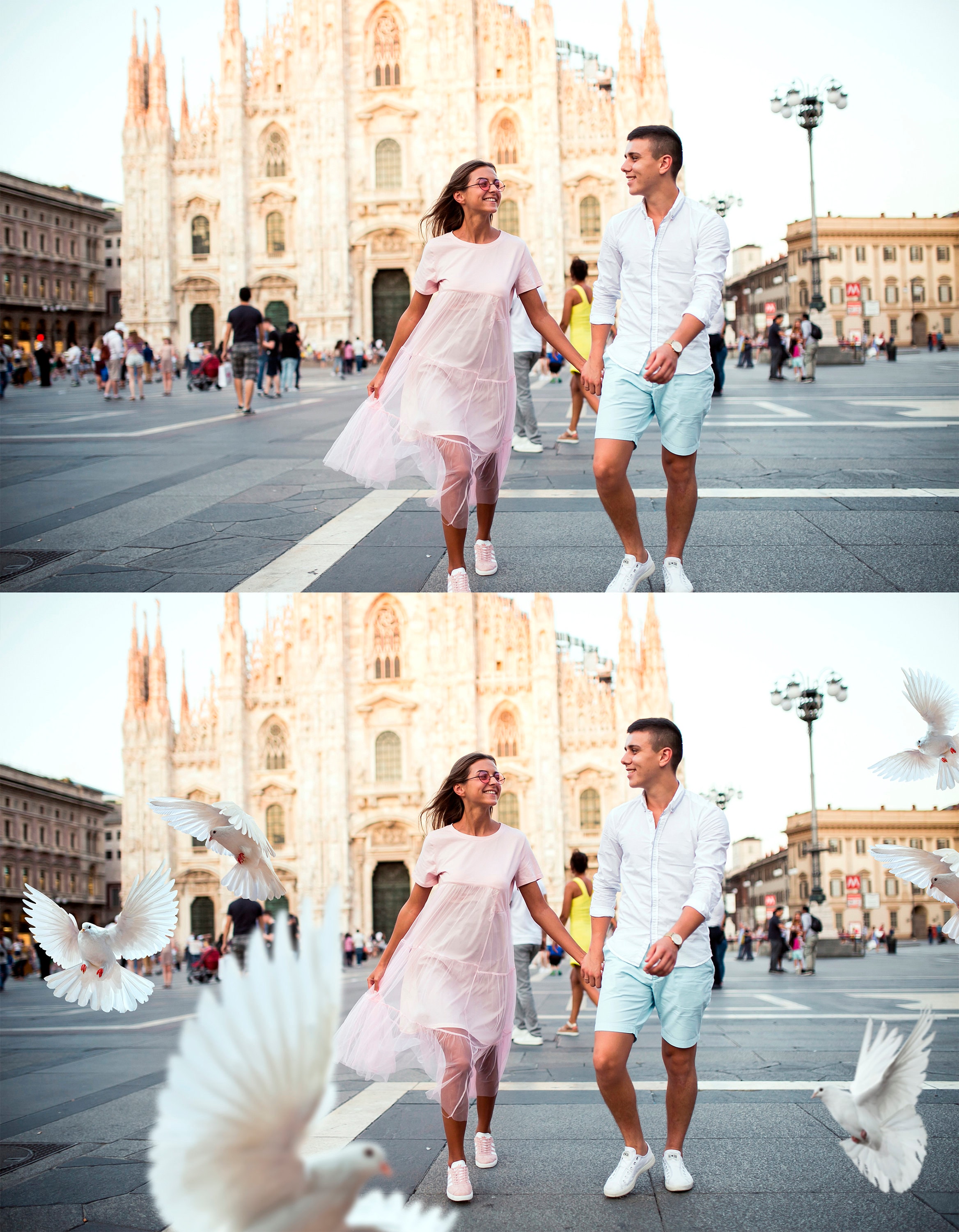 Dove Overlays Pigeon Overlays Wedding Doves Overlay Peace Birds Layers ...