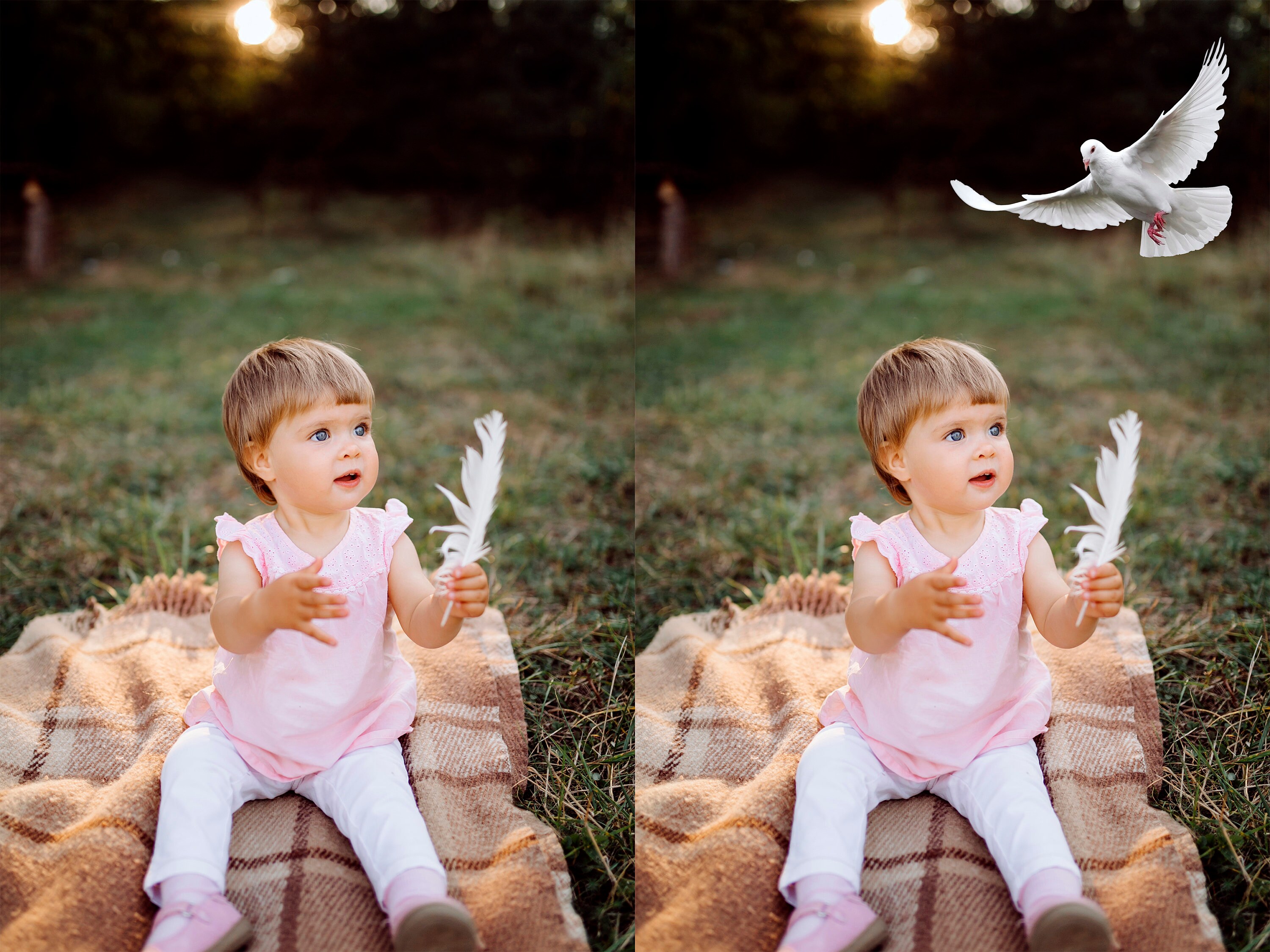 Dove Overlays Pigeon Overlays Wedding Doves Overlay Peace Birds Layers ...