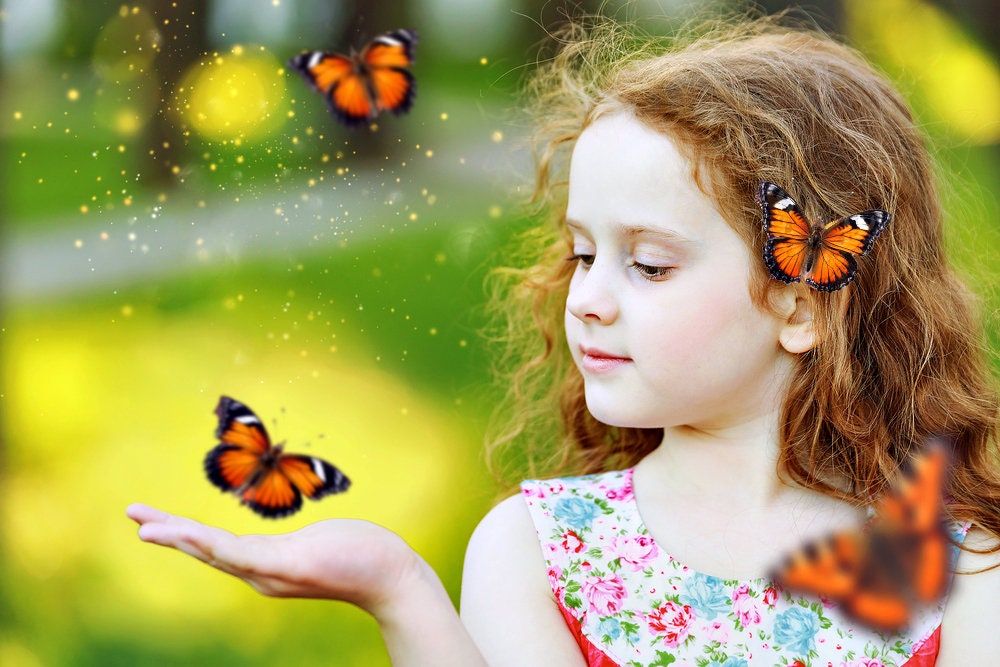 Butterfly Overlays Flying Butterflies Overlay Moth Realistic Butterfly ...