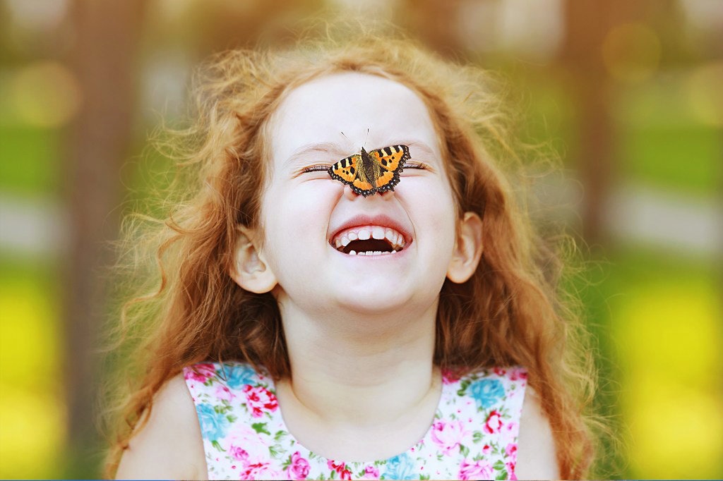 Butterfly Overlays Flying Butterflies Overlay Moth Realistic Butterfly ...