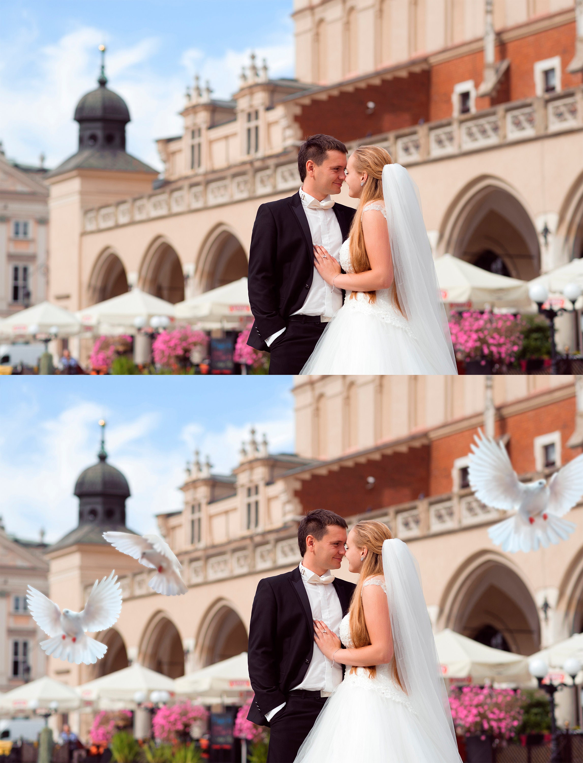 Dove Overlays Pigeon Overlays Wedding Doves Overlay Peace Birds Layers ...