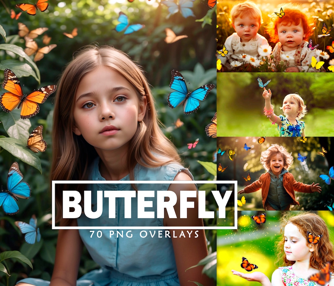 Butterfly Overlays Flying Butterflies Overlay Moth Realistic Butterfly ...