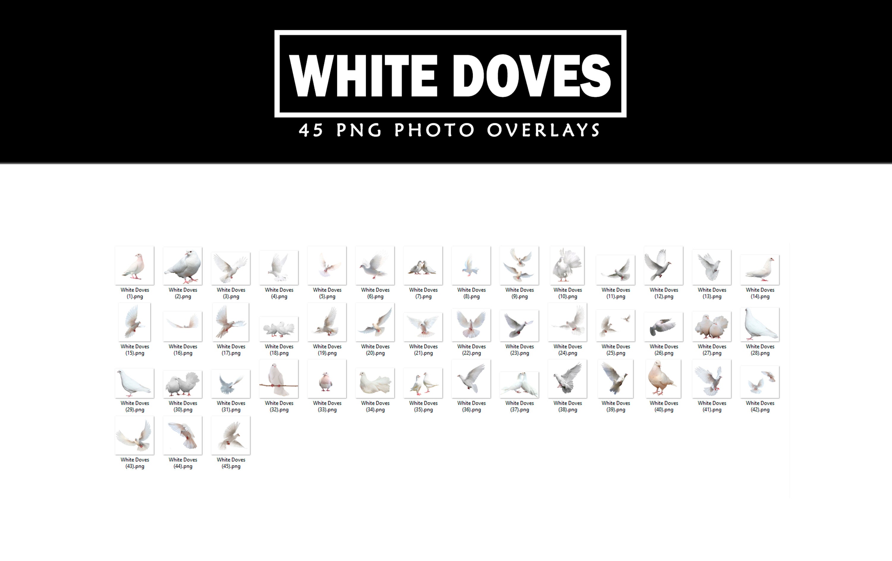 Dove Overlays Pigeon Overlays Wedding Doves Overlay Peace Birds Layers ...