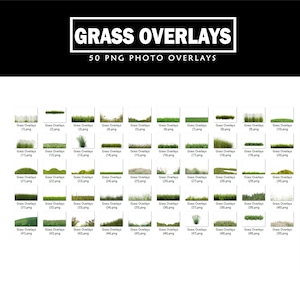 Grass Overlays Backdrops Green Grass Photoshop Textures Summer ...