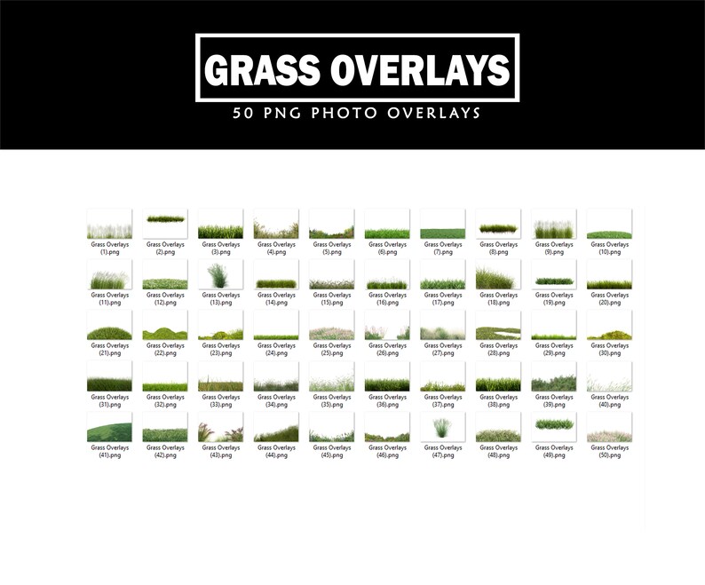 Grass Photo Overlays: Green, Summer, Spring (PNG Digital Download) - Etsy