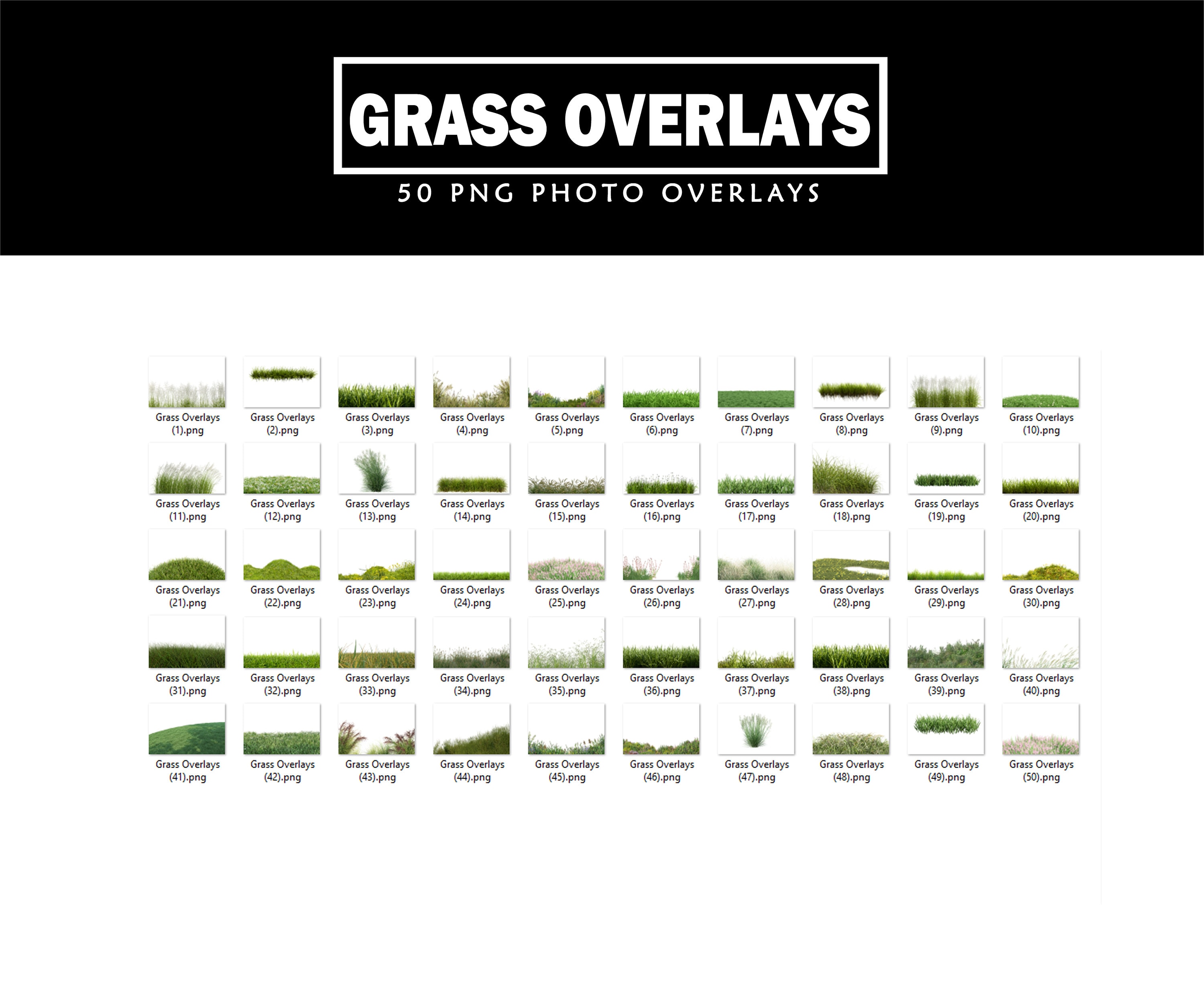 Grass Overlays Green Grass Photoshop Textures Summer Digital Overlays ...