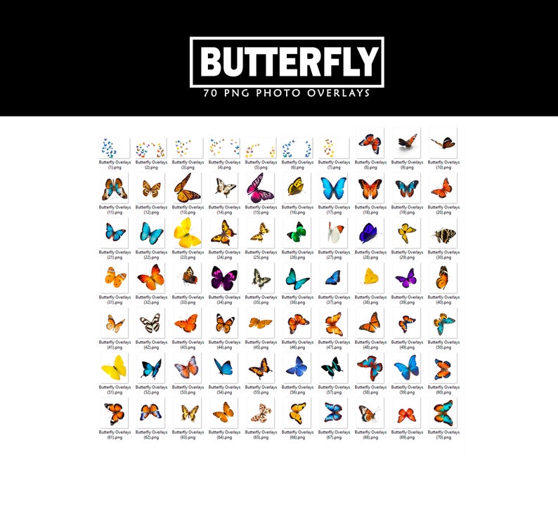 Butterfly Overlays Flying Butterflies Overlay Moth Realistic Butterfly ...