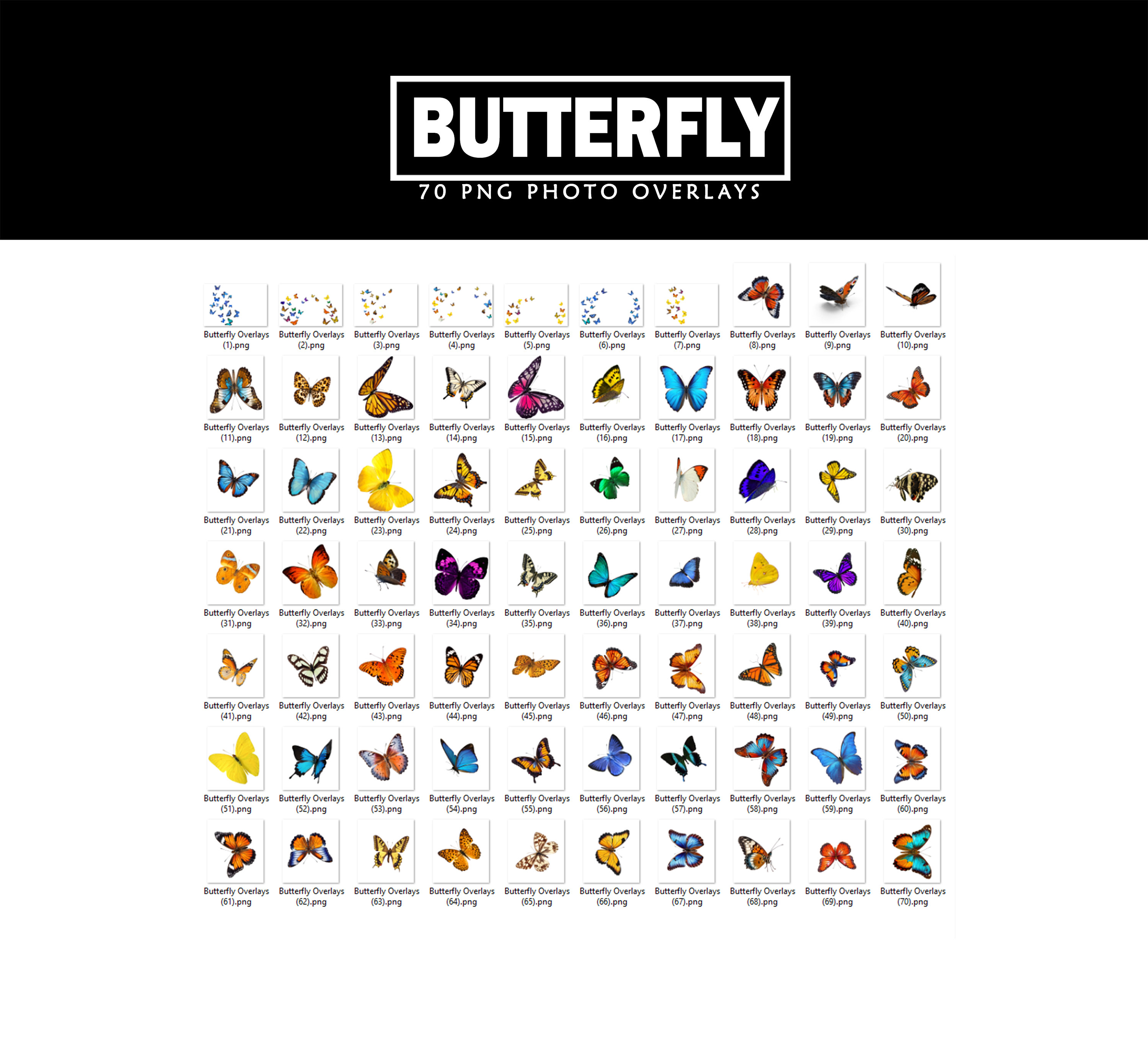 Butterfly Overlays Flying Butterflies Overlay Moth Realistic Butterfly ...