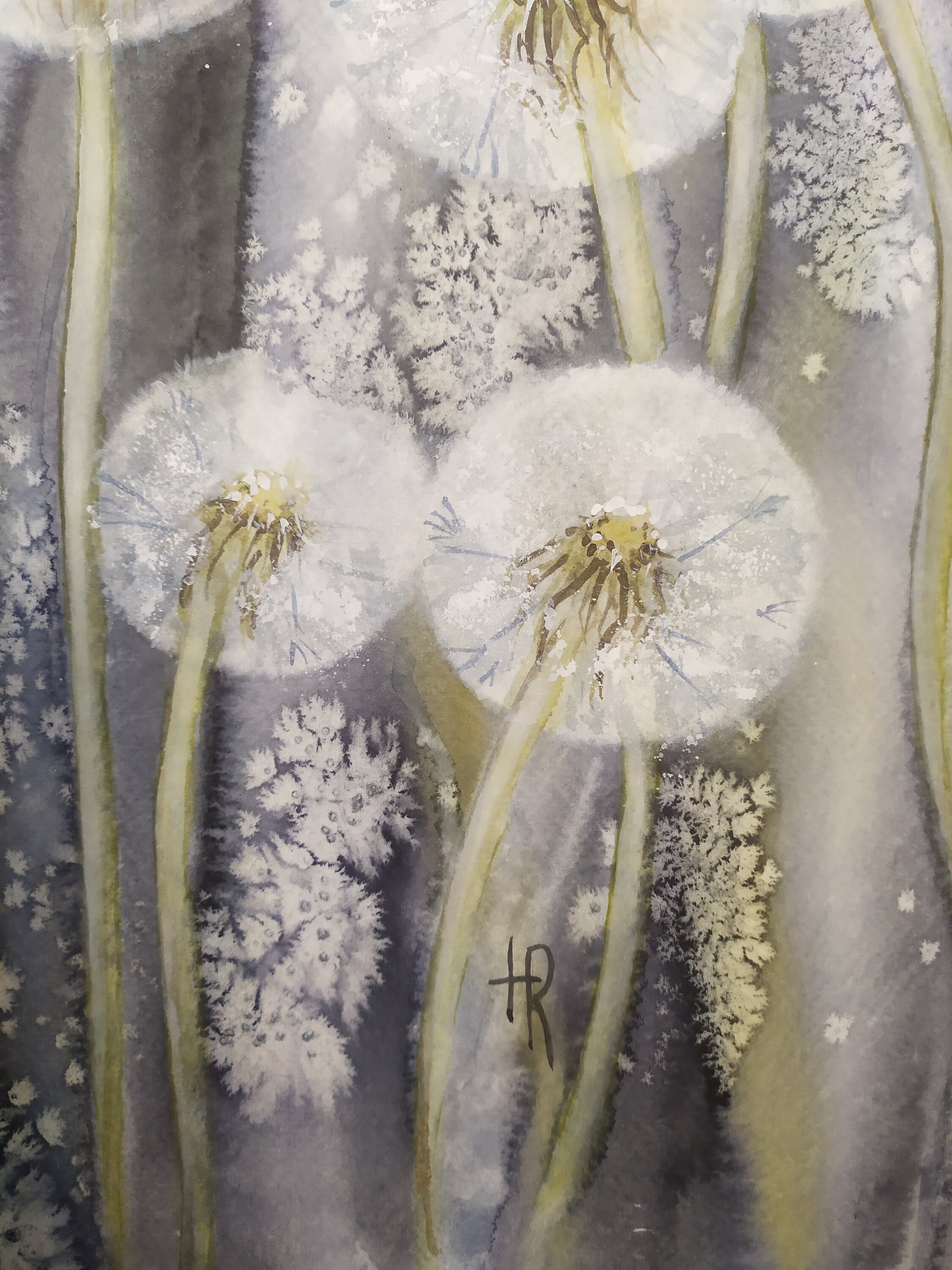 Dandelion Art, Original Watercolor, Dandelion Painting, Wild Nature ...
