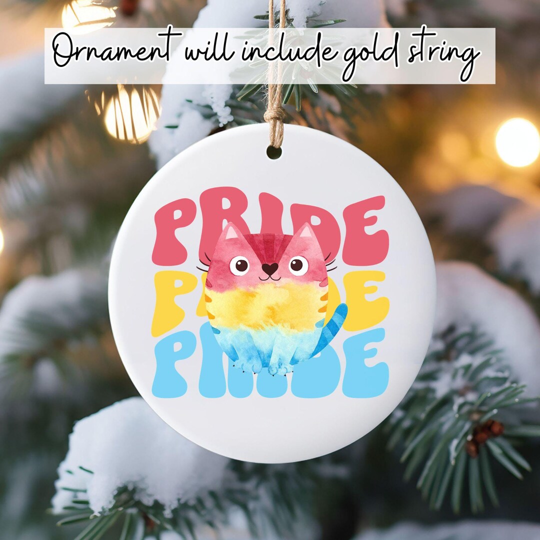 Pan Pride Ornament Queer Ally Pansexual Pride Gift for Pan Girlfriend ...