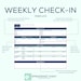 Weekly Team Member Check-in Template for Google Sheets, Weekly Check-in ...
