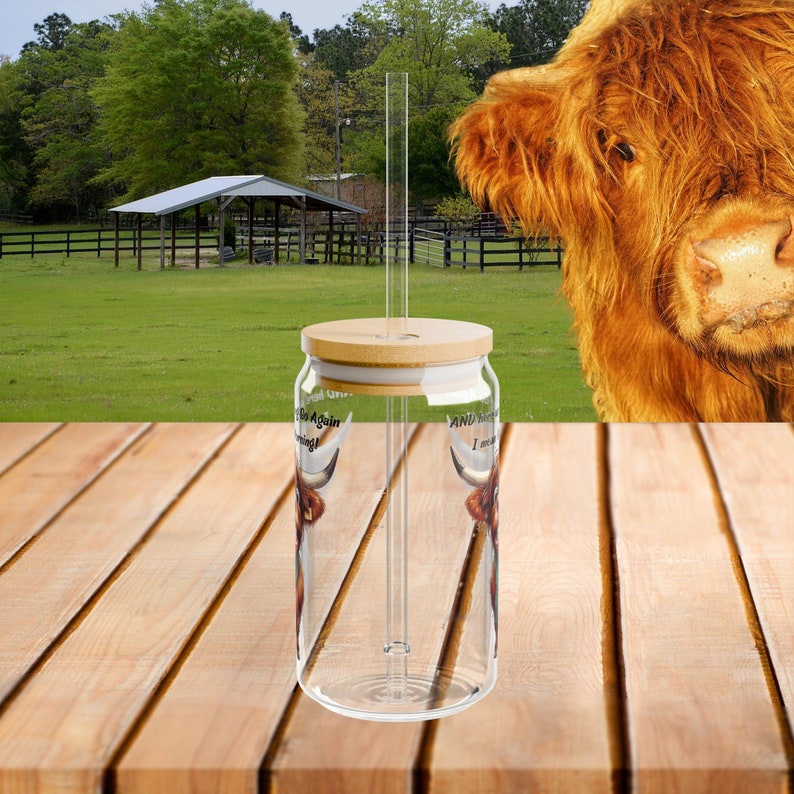 Cow Sipper,funny Highland Cow Glass Can,laugh to Start the Day,adult ...