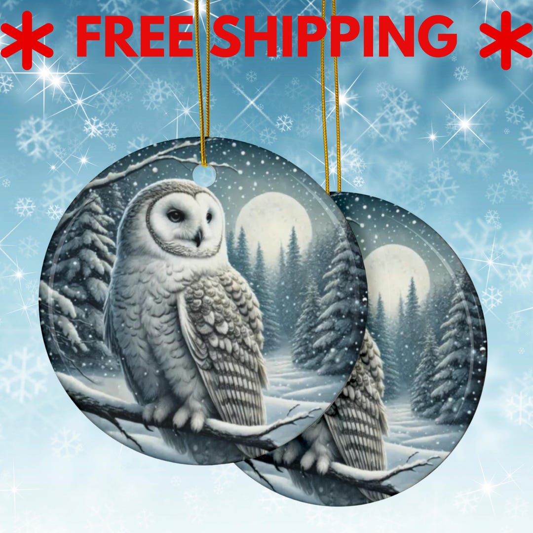 Owl Ceramic Ornament, 2-sided Design, Christmas Decor, Holiday Gift ...