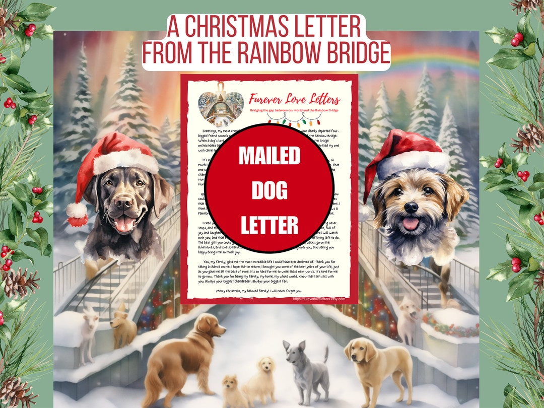 Pet Loss Dog Gift, Rainbow Bridge Letter, Best Christmas Gift for Teens ...