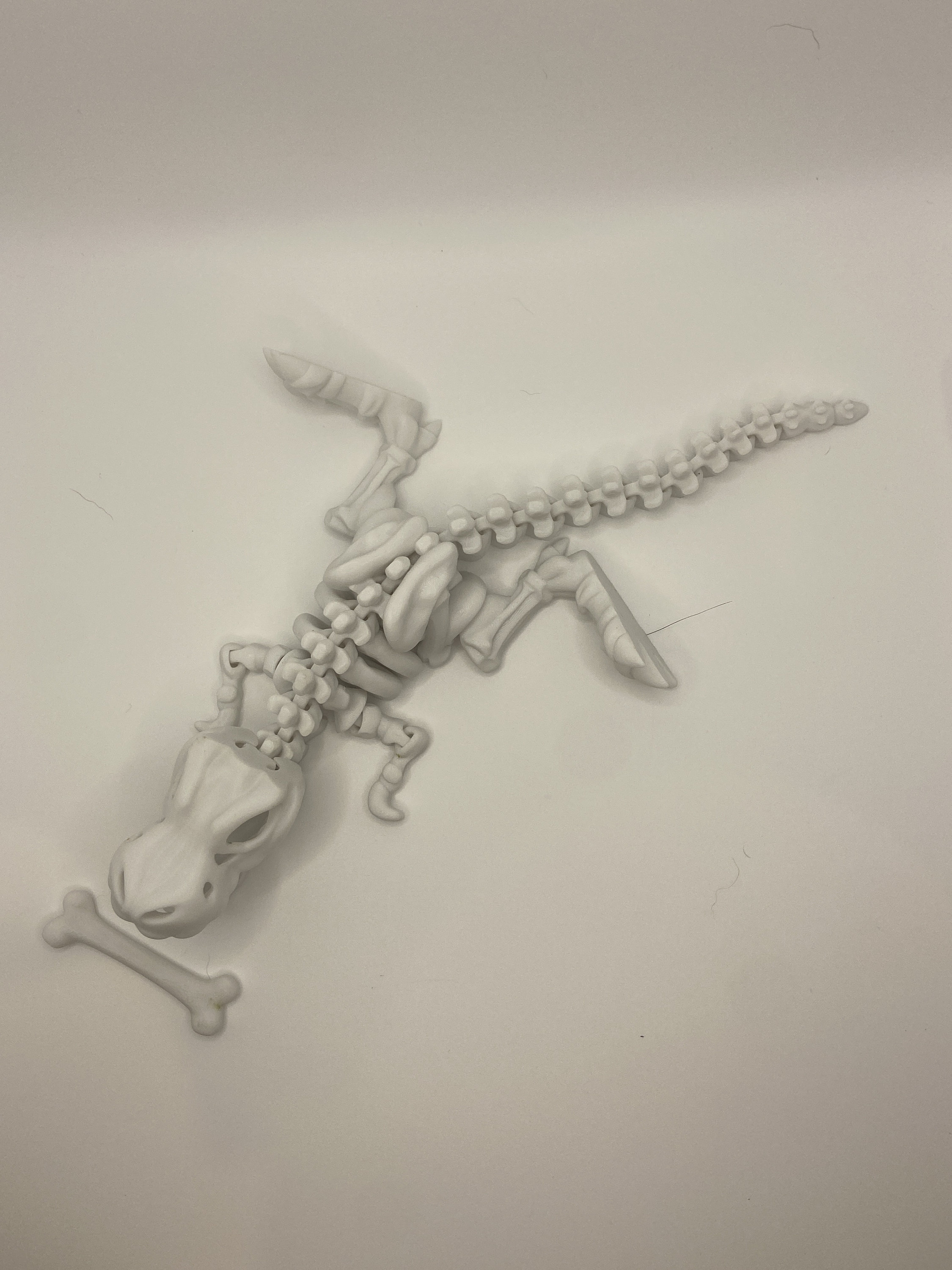 Flexi Skeleton Dino - Articulating Toy - Etsy