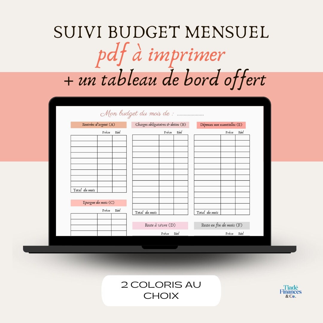 Budget Planner Monthly Budget Monitoring to Print Budget - Etsy