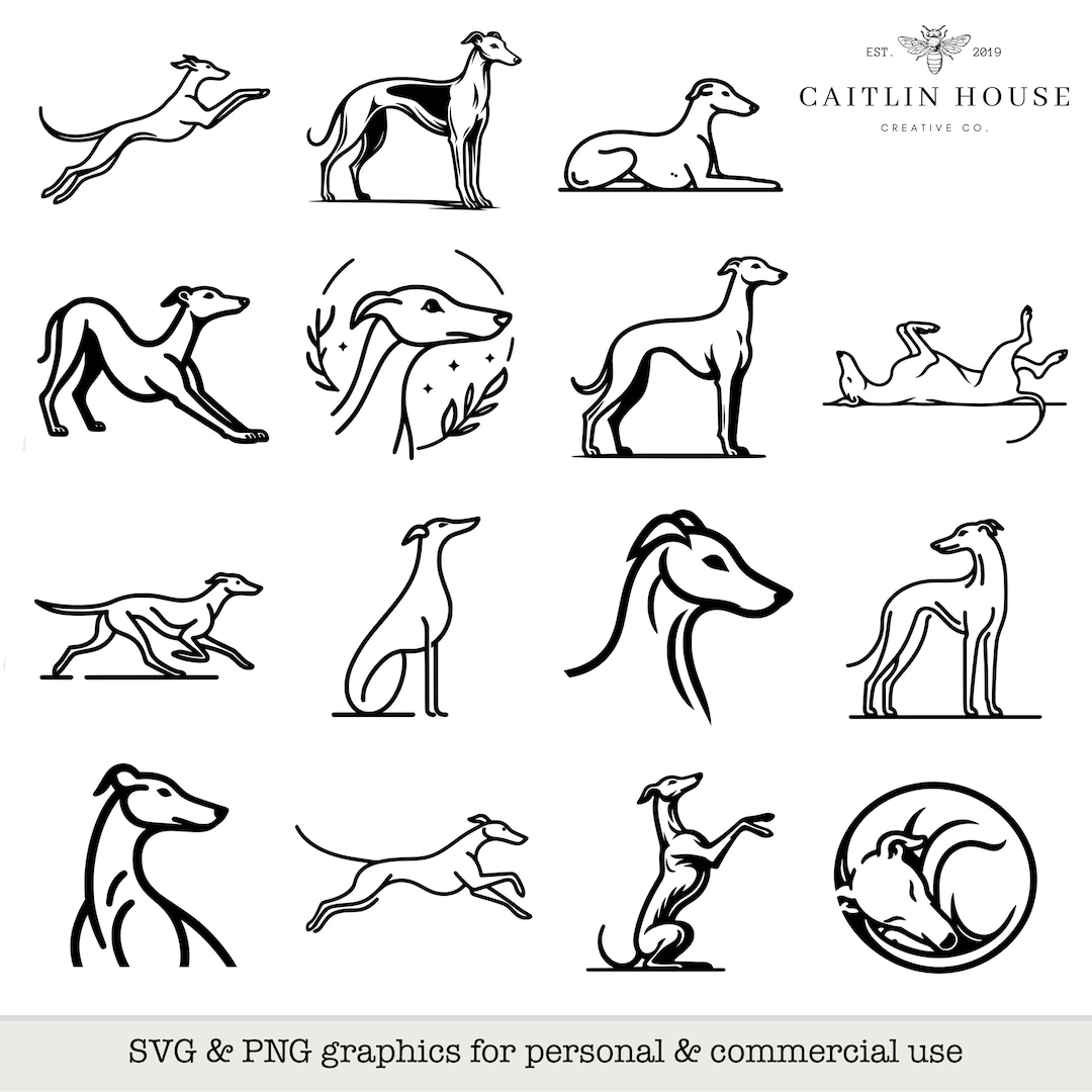 15 X Whippet / Greyhound Dog PNG & SVG Vector Graphics (instant ...