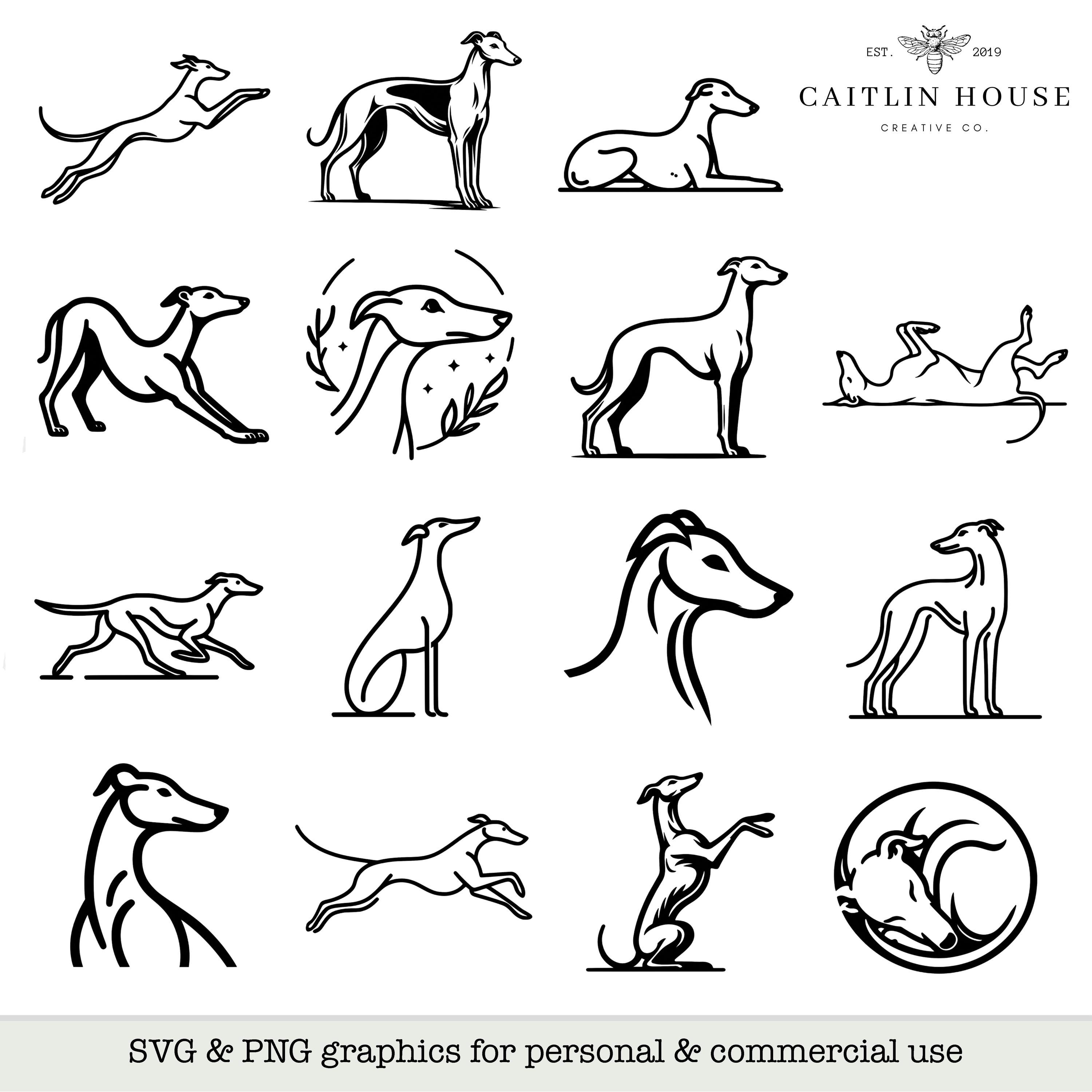 15 X Whippet / Greyhound Dog PNG & SVG Vector Graphics (instant ...